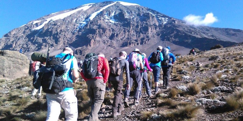 7 Days Kilimanjaro Rongai Route - Tanzania Travel Company