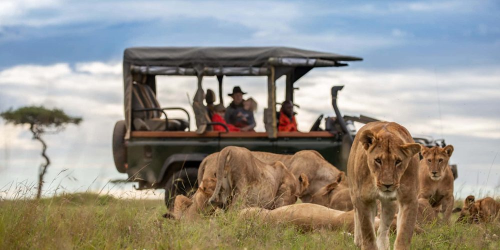 7 - DAYS KENYA ADVENTURE - Tanzania Travel & Safari Company Ltd